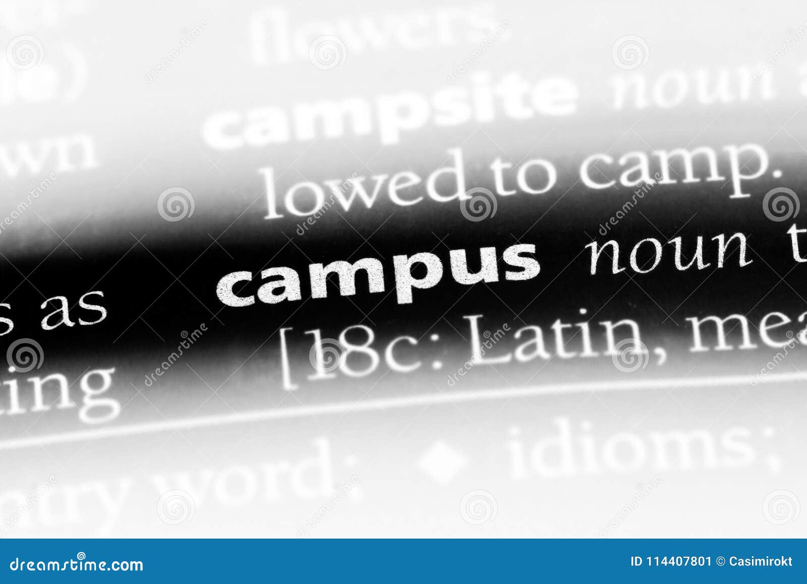 Campus stock image. Image of definition, paper, text - 114407801