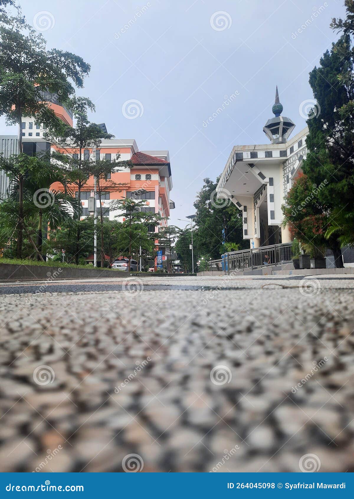 Campus Environment stock photo. Image of social, environment - 264045098