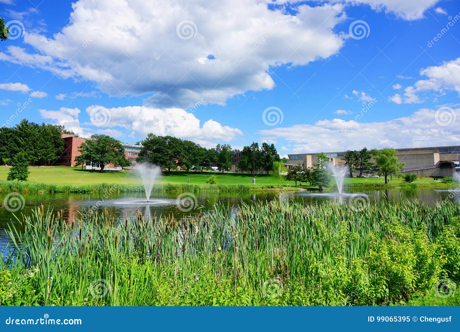 Campus landscape editorial image. Image of college, curve - 99065395