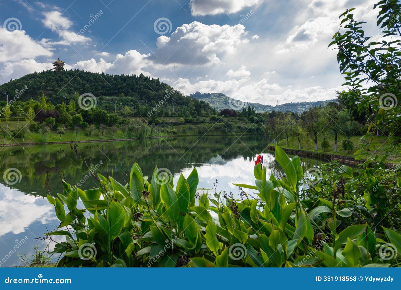 Campus Scenery of China West Normal University, Sichuan, China Stock ...
