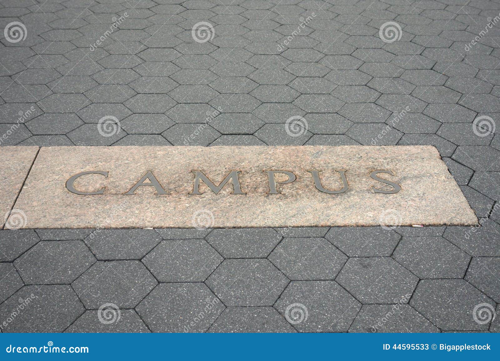 Campus stock image. Image of university, school, study - 44595533