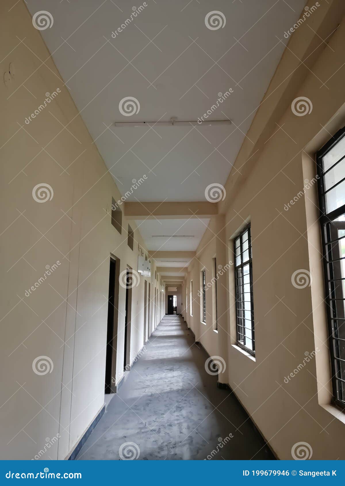 Campus Universitaire- Belle Vue De L'université Photo stock - Image du ...