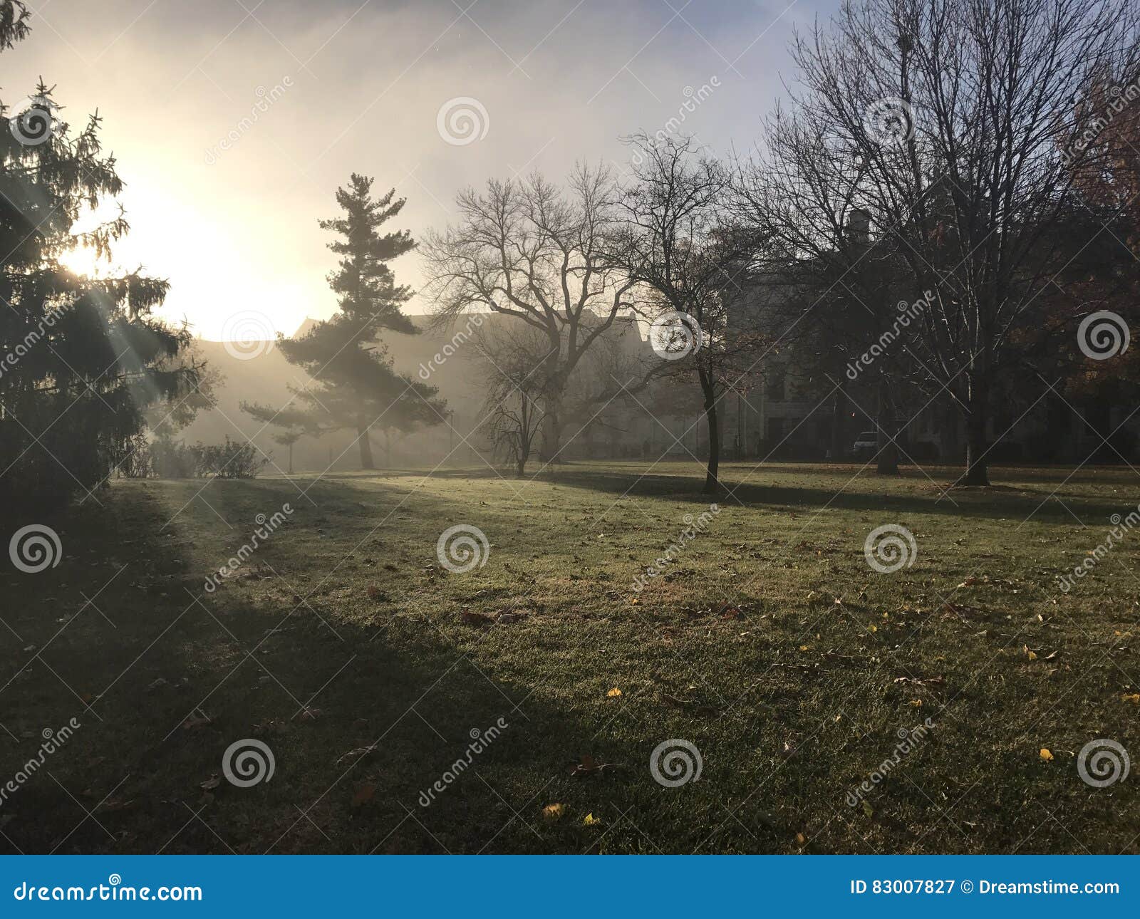 Campus windy morning stock image. Image of tree, windy - 83007827