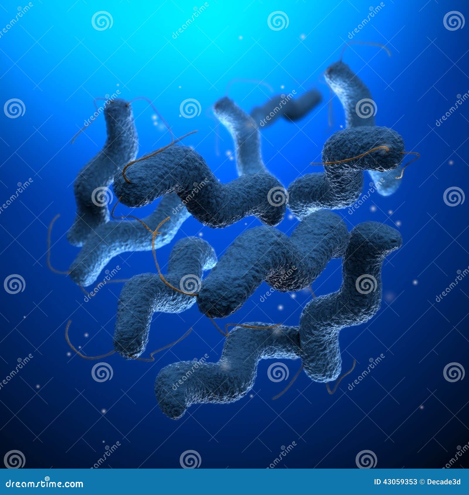 Campylobacter stock illustratie. Illustration of microbiologie - 43059353