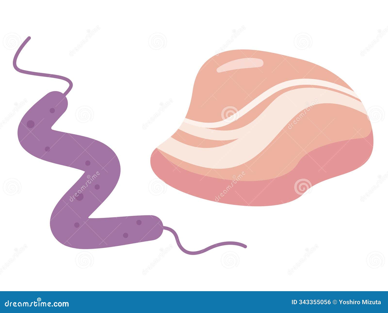 Campylobacter and Chicken Simple Vector Illustration Stock Vector ...