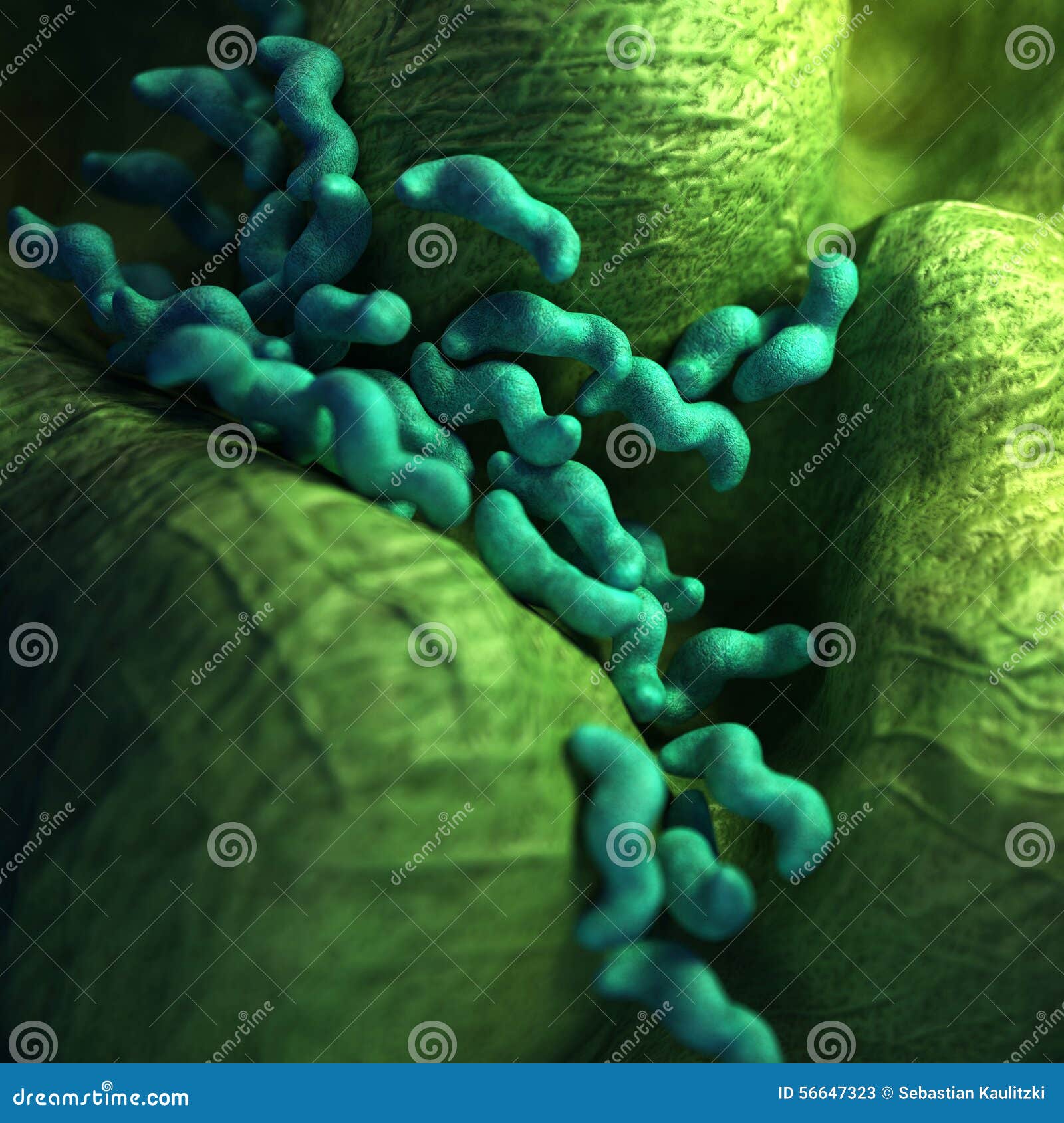 The Campylobacter - Close Up Royalty-Free Cartoon | CartoonDealer.com ...