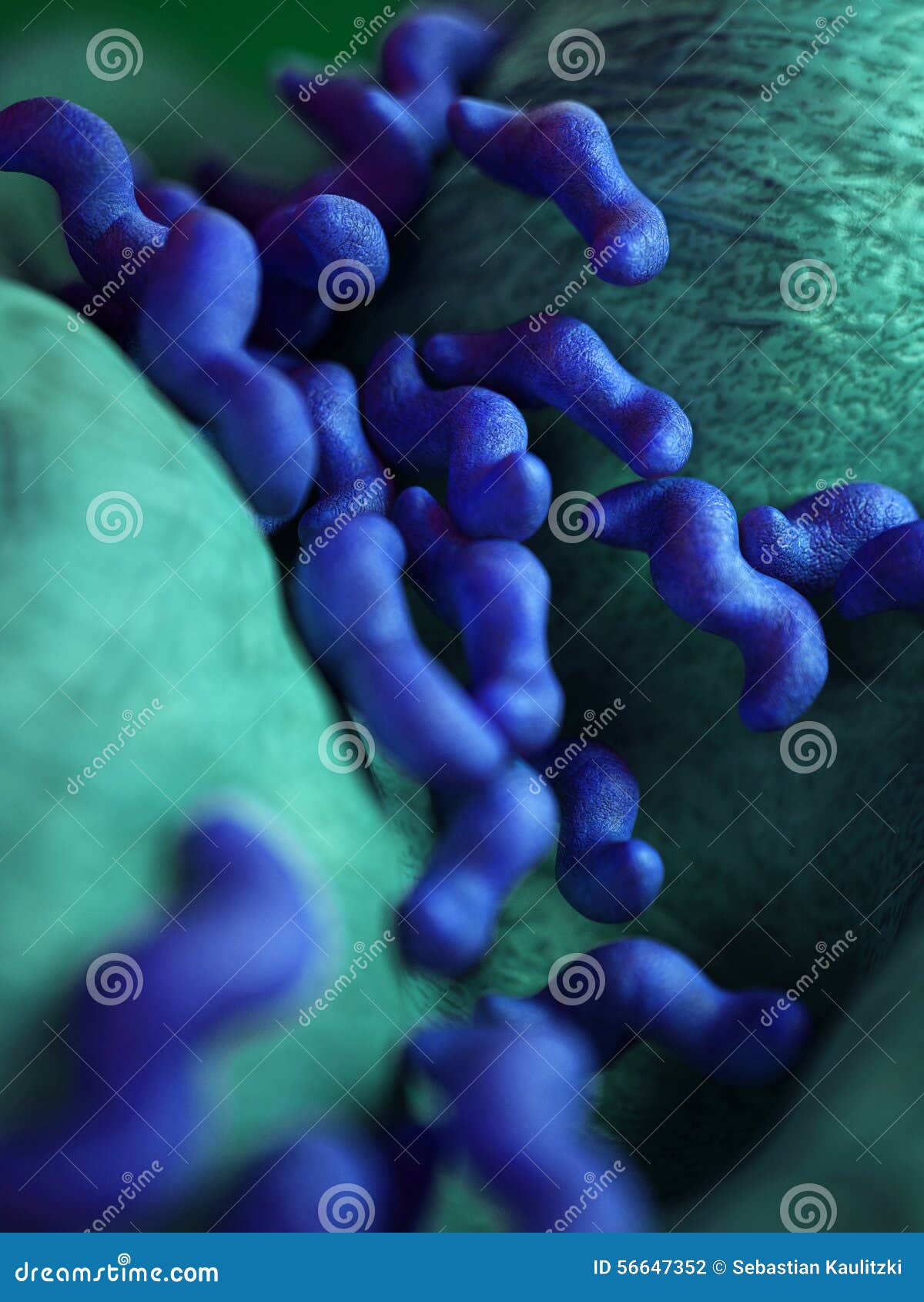 The Campylobacter - Close Up Royalty-Free Cartoon | CartoonDealer.com ...