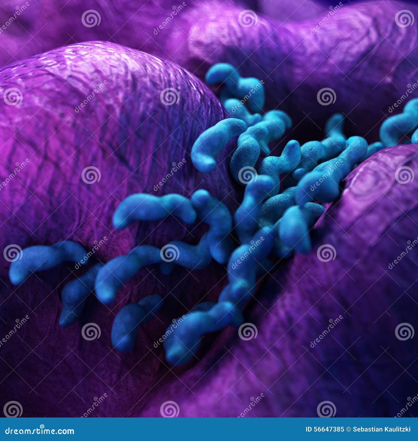 The Campylobacter - Close Up Stock Illustration - Illustration of ...