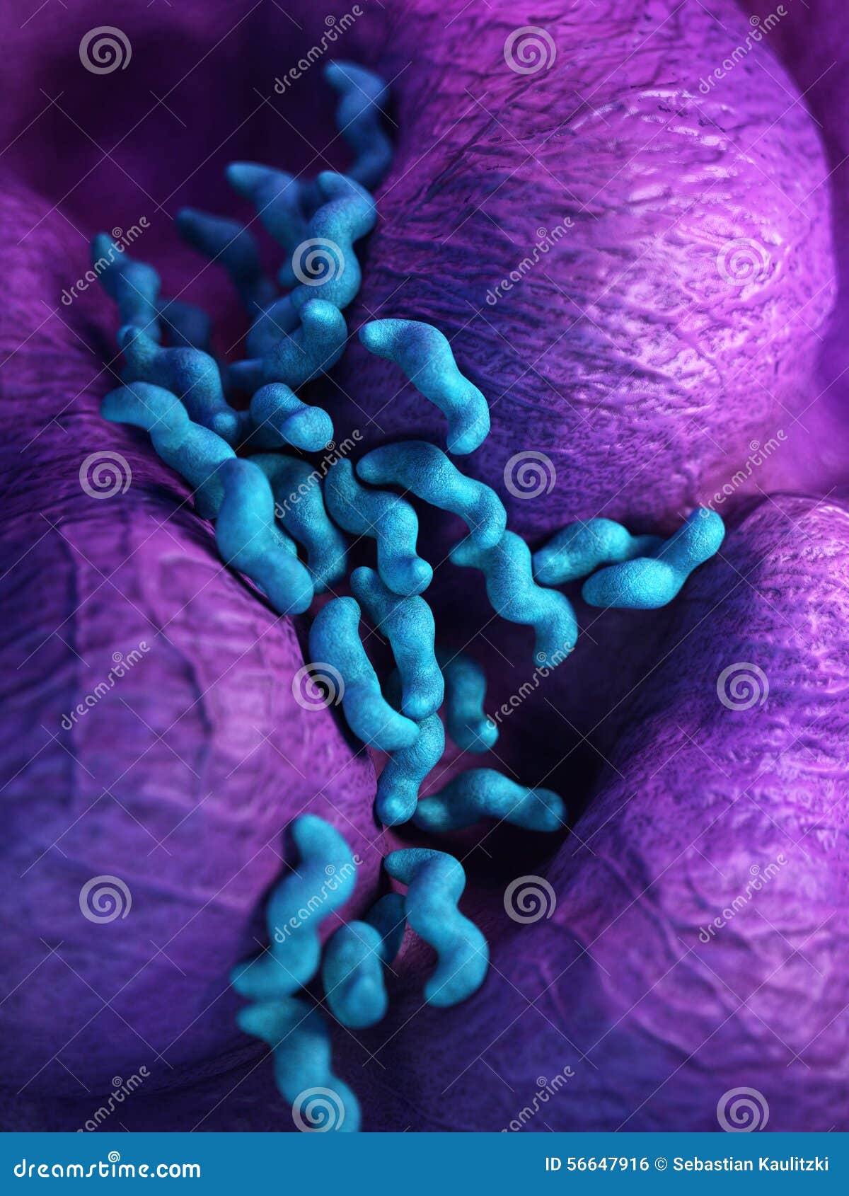 The Campylobacter - Close Up Stock Illustration - Illustration of ...