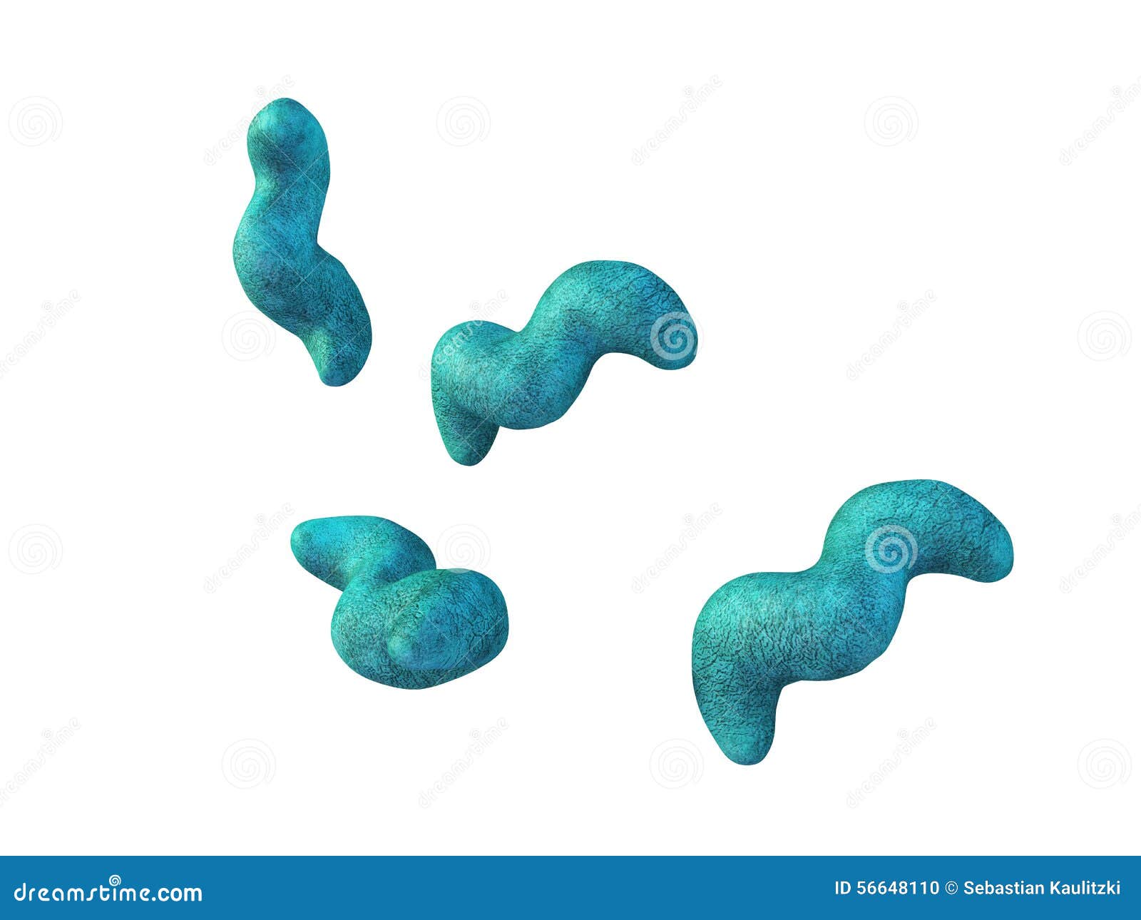 The Campylobacter - Close Up Stock Illustration - Illustration of ...