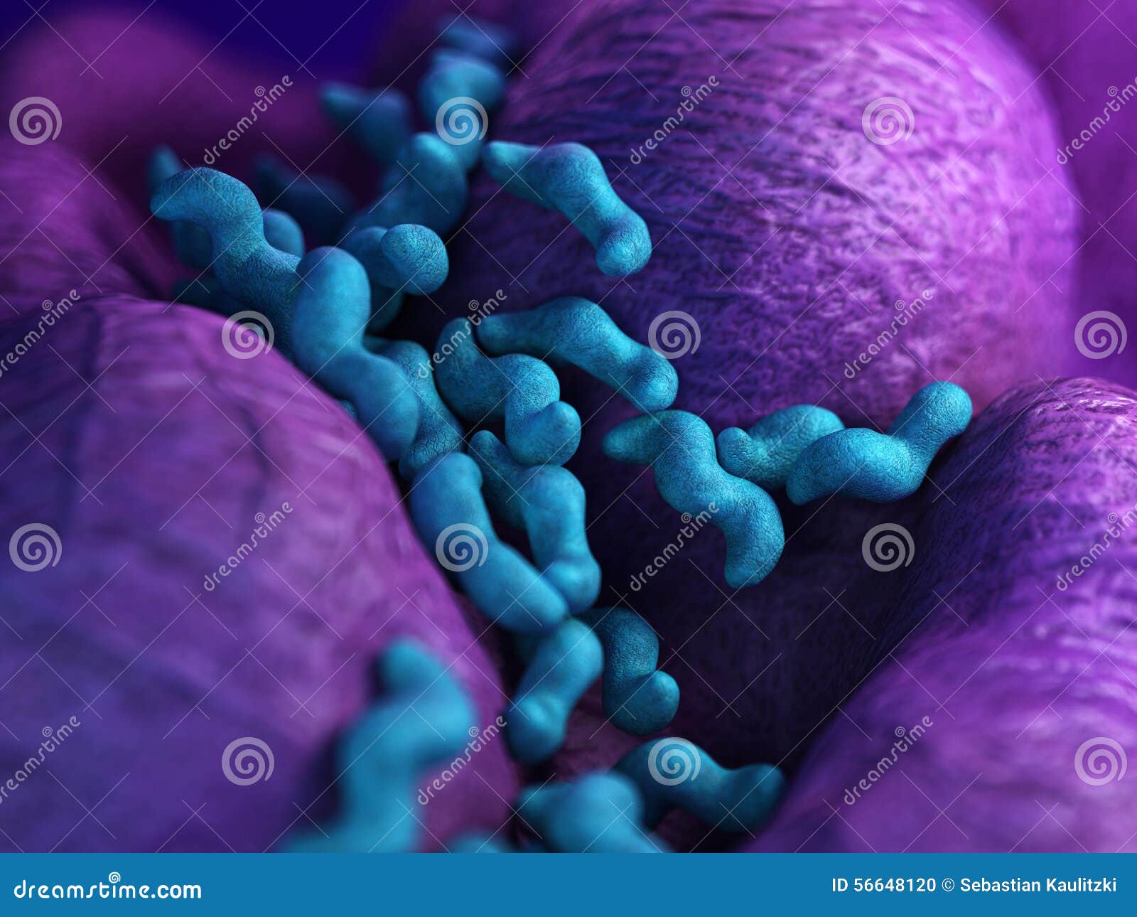 The Campylobacter - Close Up Stock Illustration - Illustration of ...