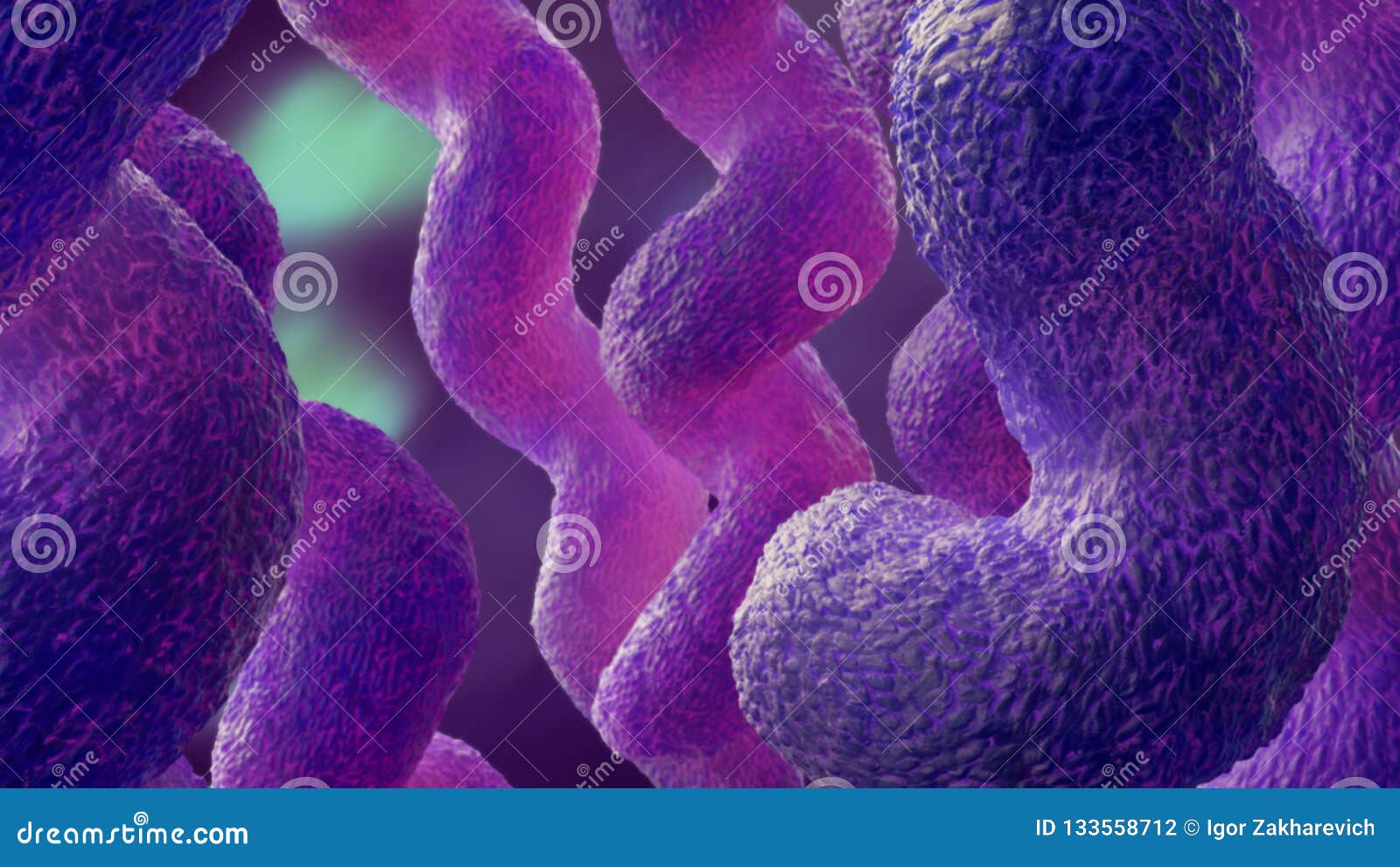 Campylobacter 3d Illustration Stock Illustration - Illustration of ...