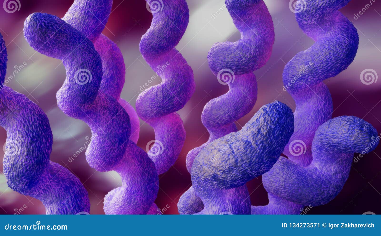 Campylobacter Campylobacter 3d Illustration Stock Illustration ...