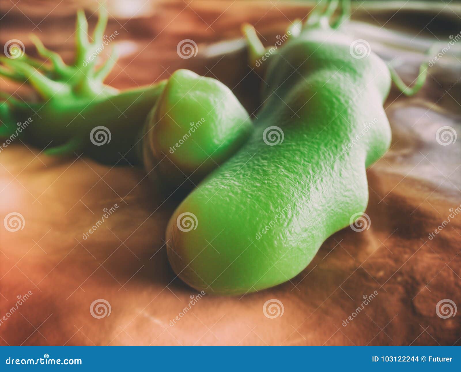 Campylobacter Jejuni Bacteria - Scanning Electron Microscope -closeup ...