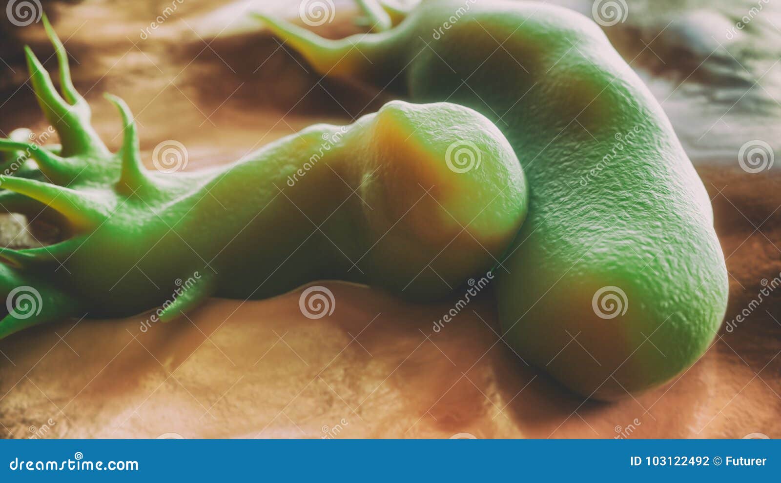 Campylobacter Jejuni Bacteria - Scanning Electron Microscope -closeup ...