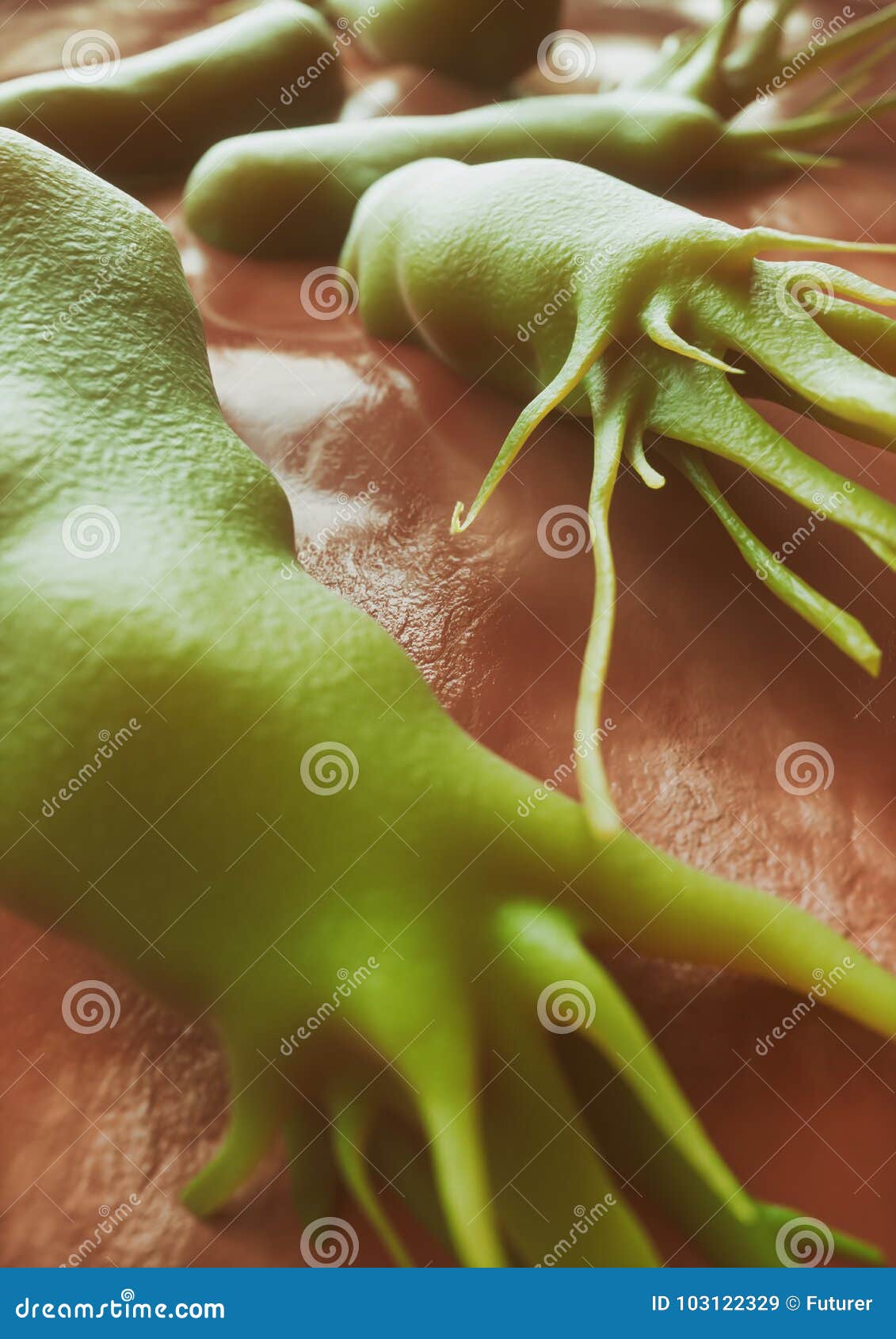 Campylobacter Jejuni Bacteria - Scanning Electron Microscope -closeup ...