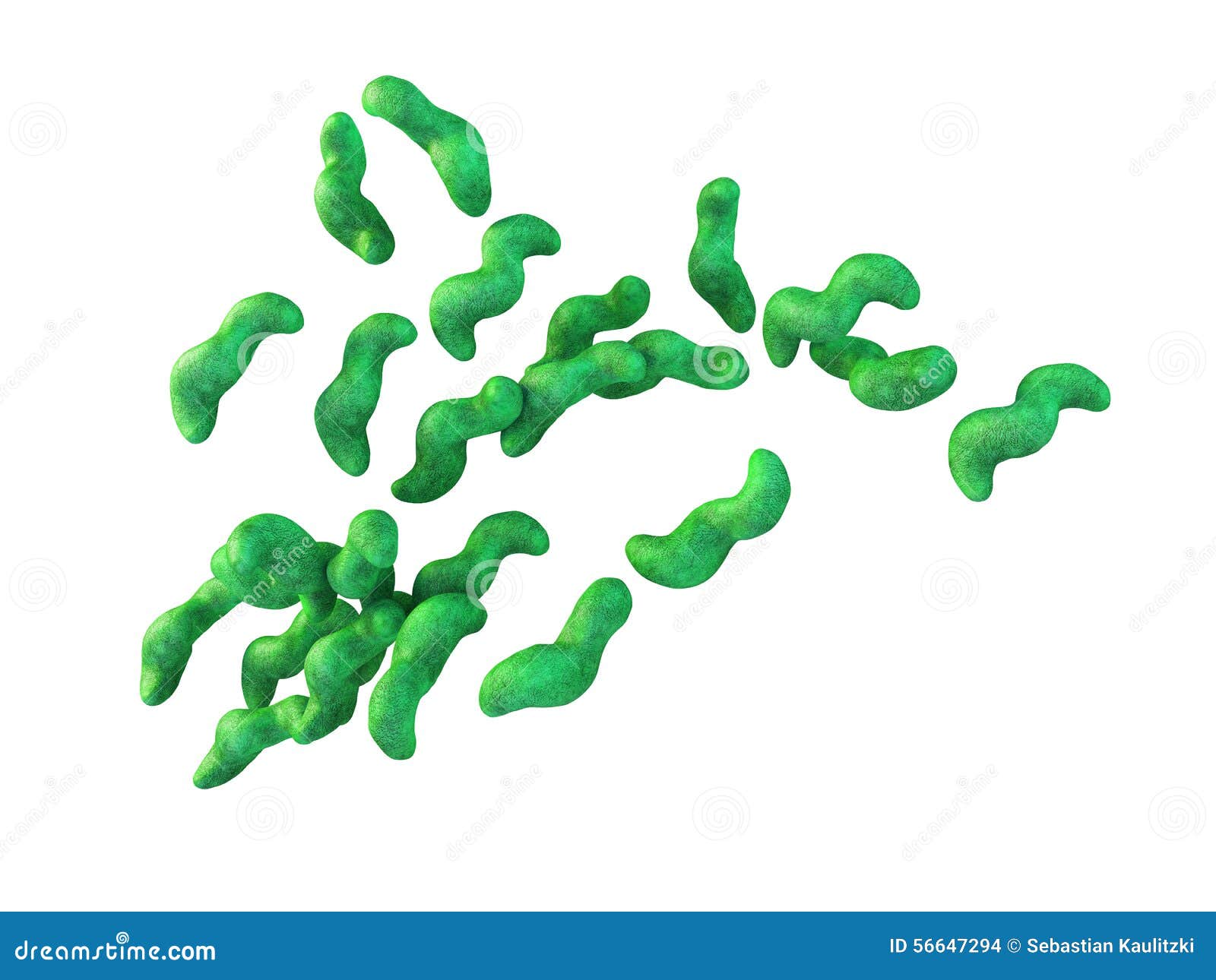 The campylobacter stock illustration. Illustration of medicine - 56647294