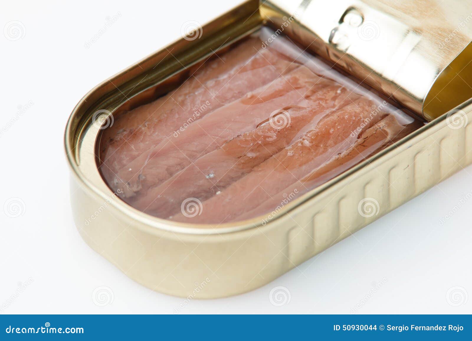 Can of anchovies stock photo. Image of anchovies, serving - 50930044