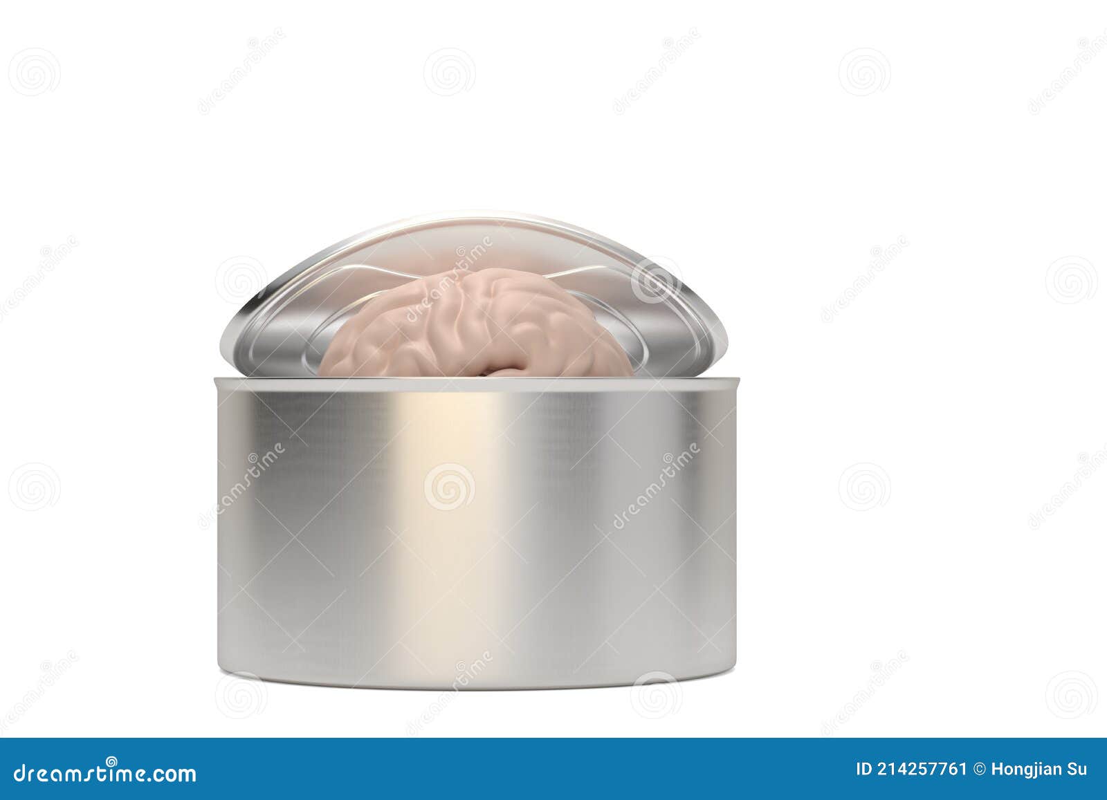 The Can and Brain Isolated on White Background, 3D Rendering. 3D ...