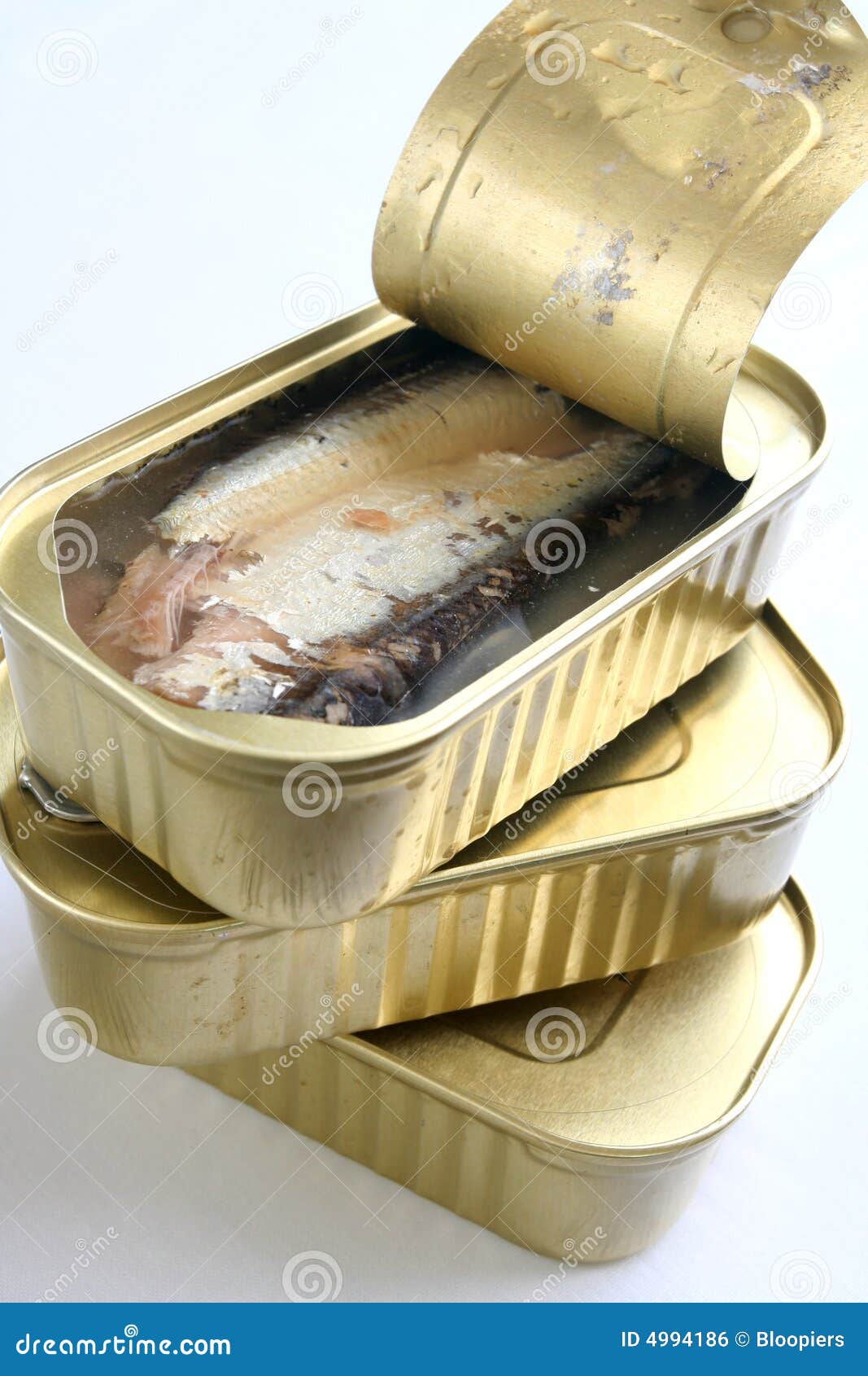 Can fish stock photo. Image of omega, cholesterol, fish - 4994186