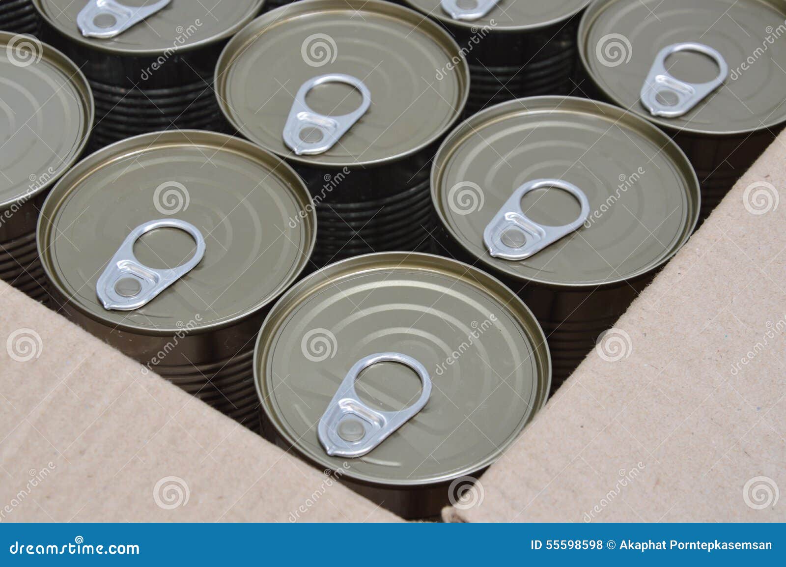 Can food in the box stock photo. Image of packaging, food - 55598598