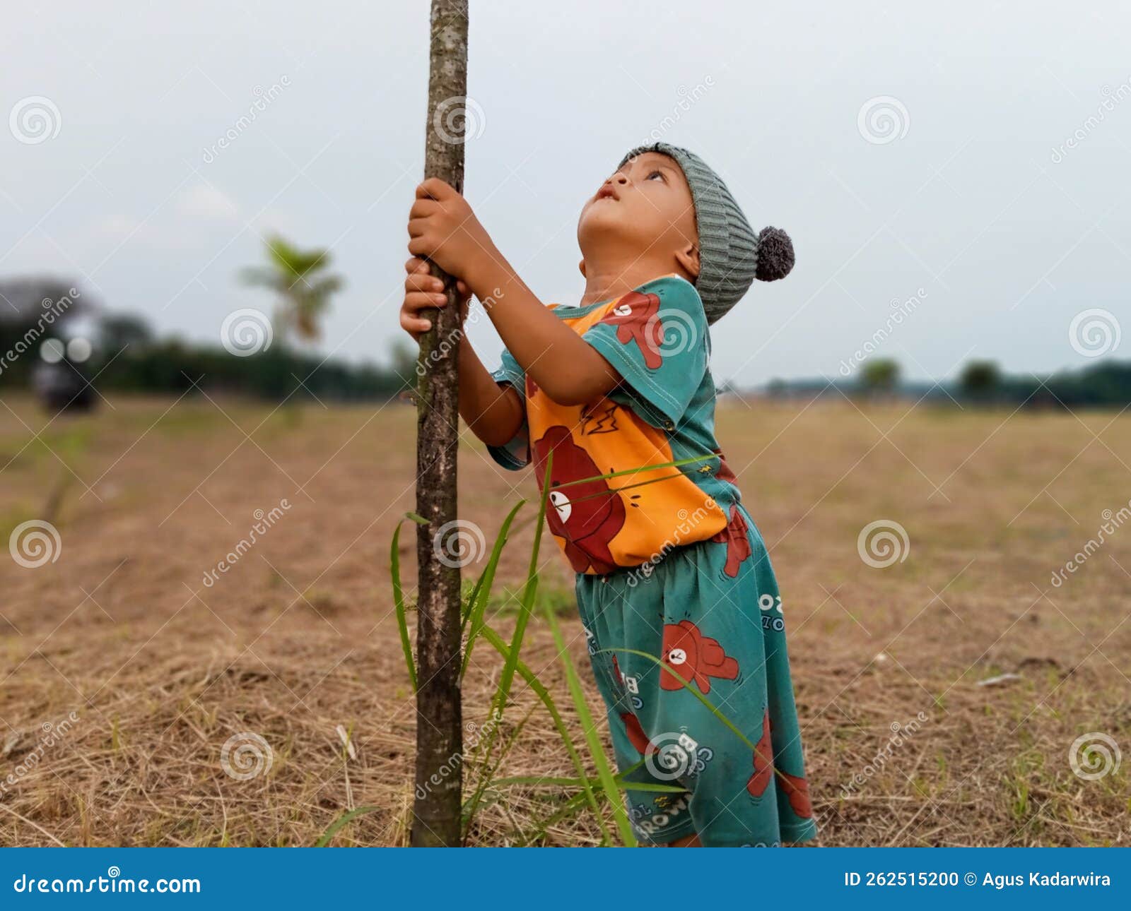 Can i climb this tree ? stock photo. Image of tree, clamb - 262515200