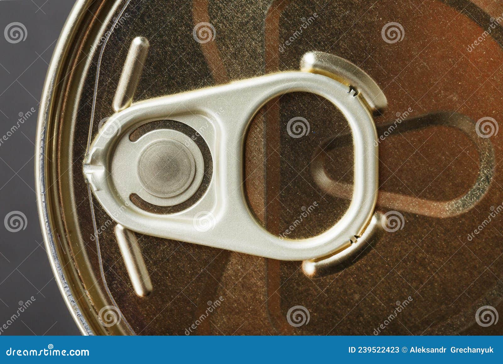 A Can with a Metal Lid and a Ring for Opening Stock Image - Image of ...