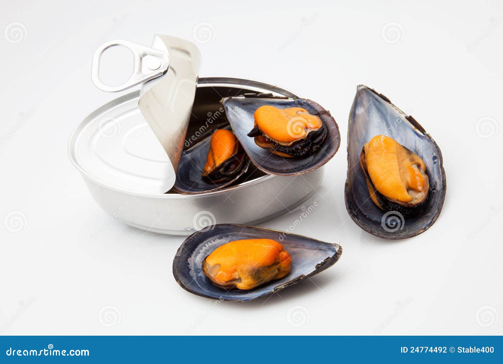 Can of mussels stock photo. Image of fishing, shellfish - 24774492