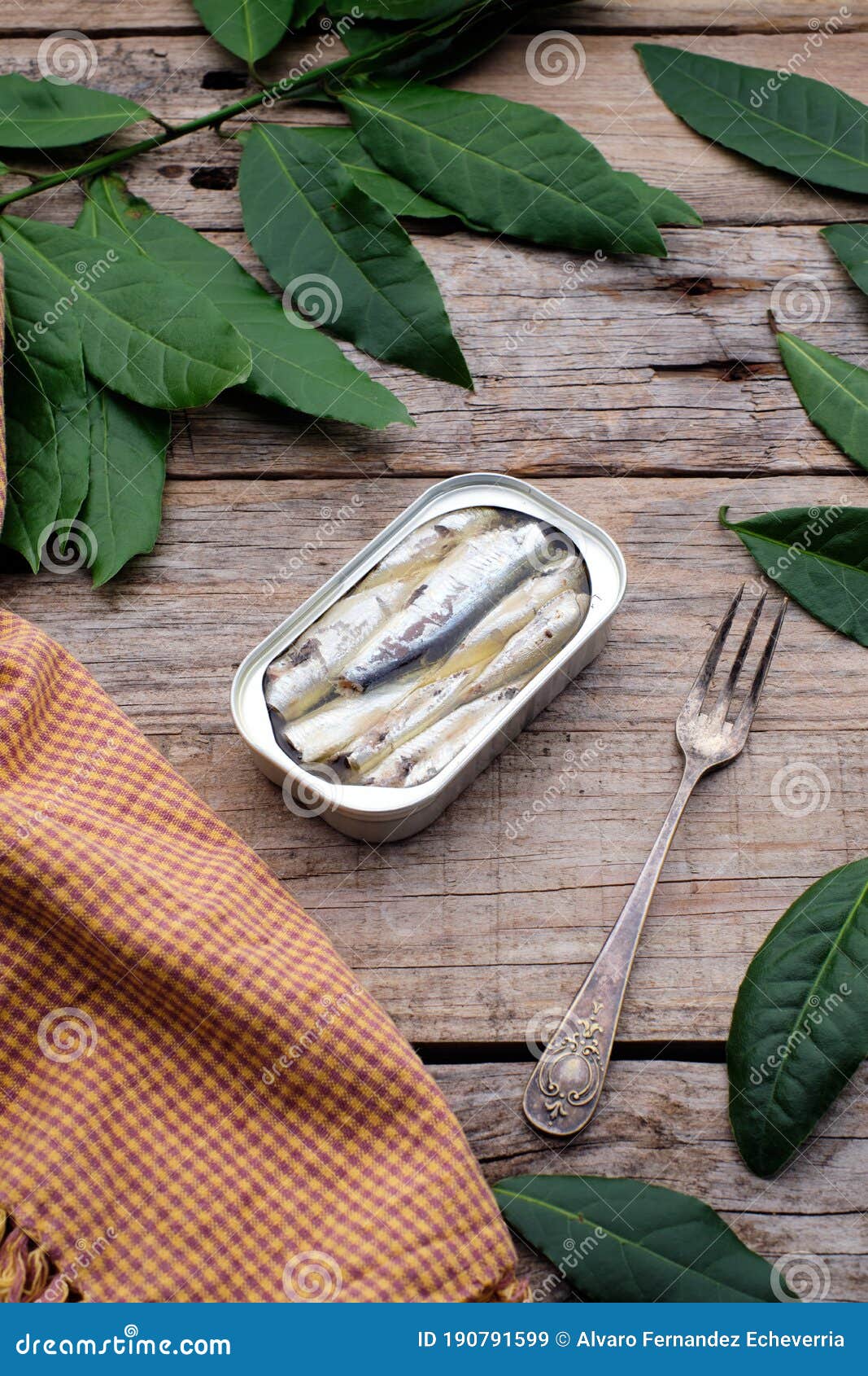 Can of Sardines Open on Rustic Table Stock Image - Image of storage ...