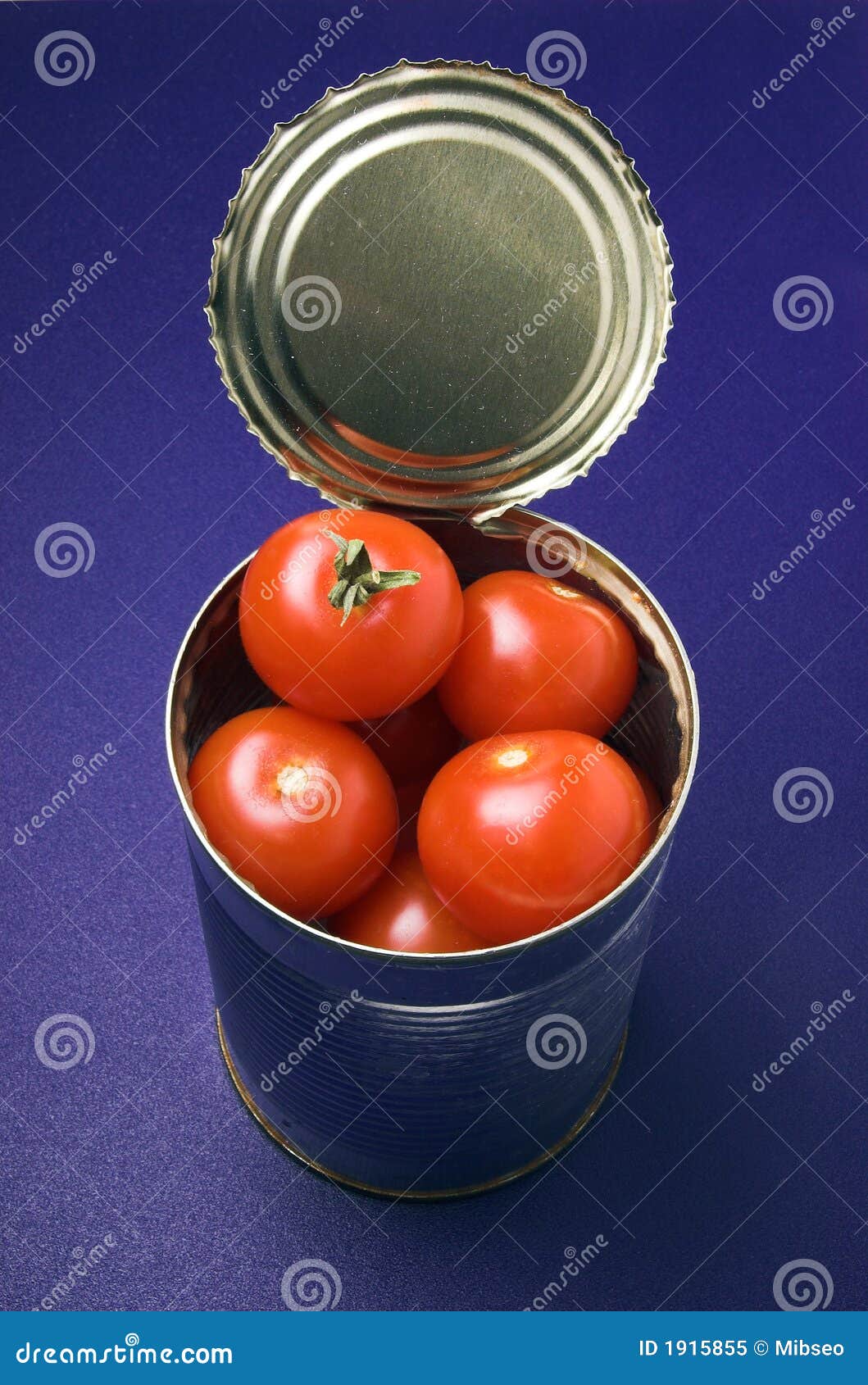 Can of tomatoes stock image. Image of surface, stainless - 1915855