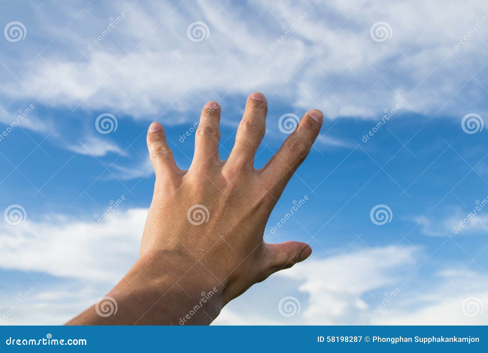 Can Touch the Sky by Imagine Stock Image - Image of cloud, canopy: 58198287