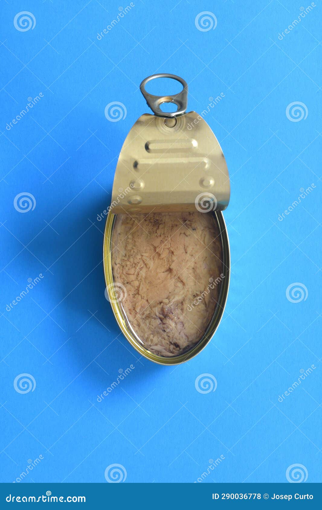 Can of tuna on blue stock photo. Image of preserve, object - 290036778