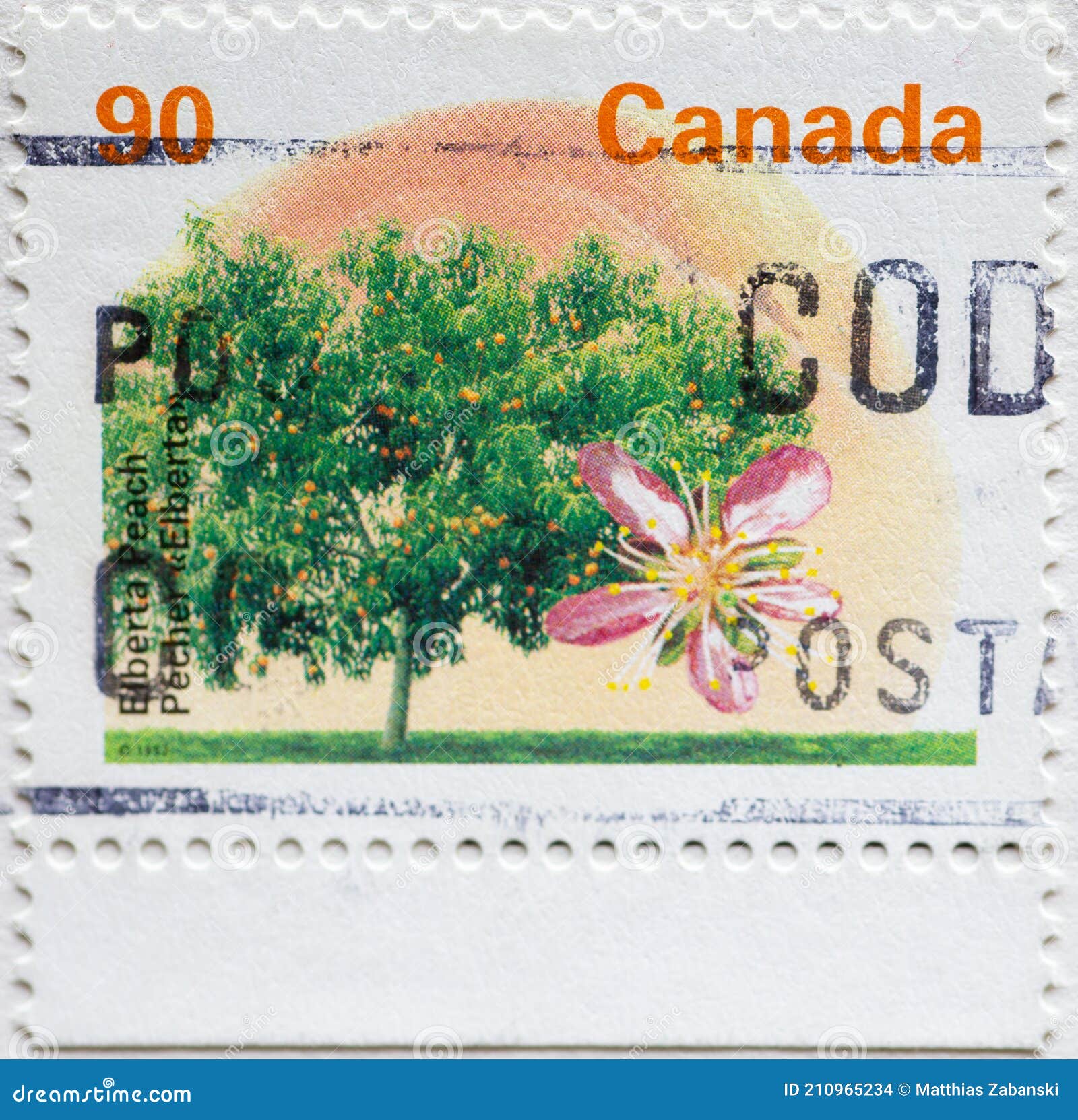 Canada - CIRCA 1995: a Postage Stamp Printed in Canada with a Flowering ...