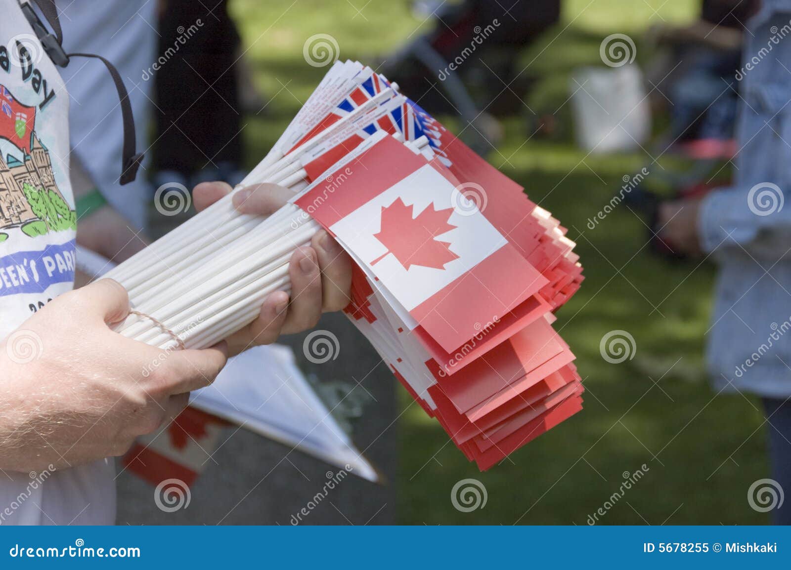 Canada Day Flags Royalty-Free Stock Photography | CartoonDealer.com ...