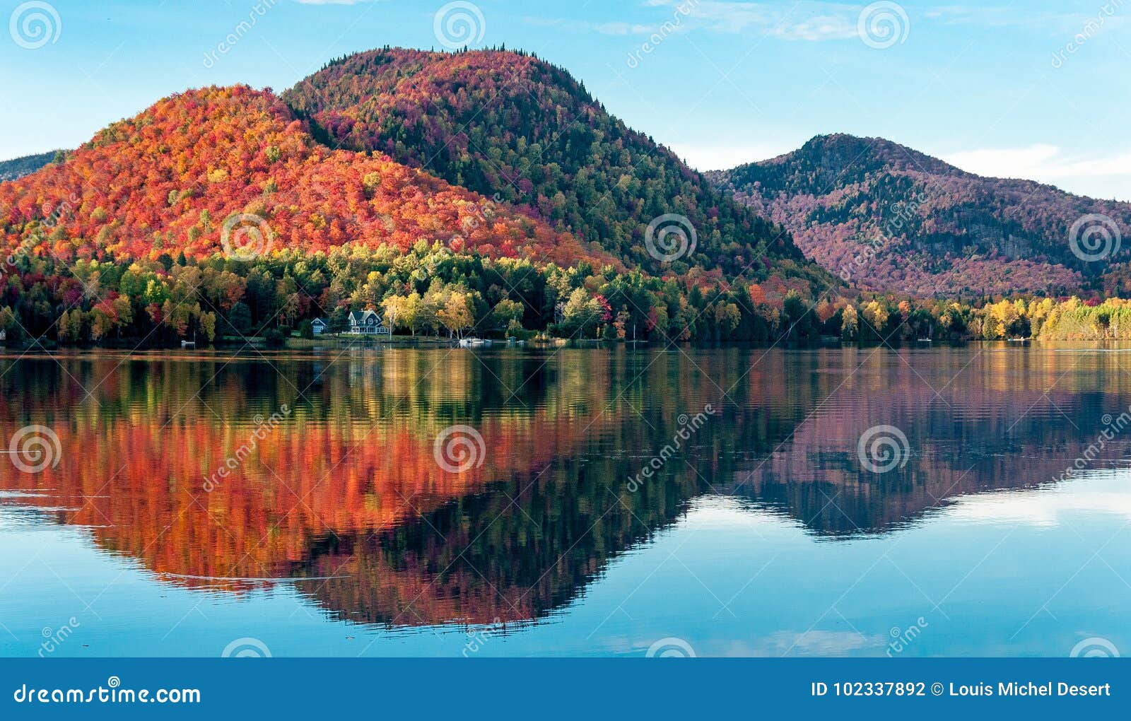 Canada in fall stock photo. Image of forest, colors - 102337892