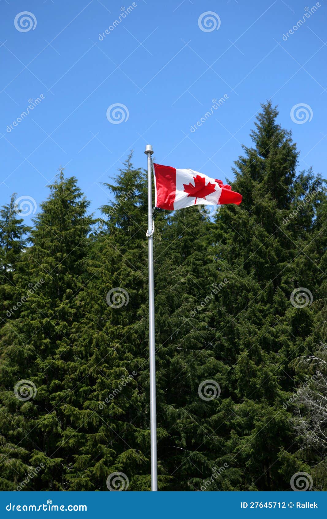 Canada flag stock photo. Image of clear, green, blue - 27645712