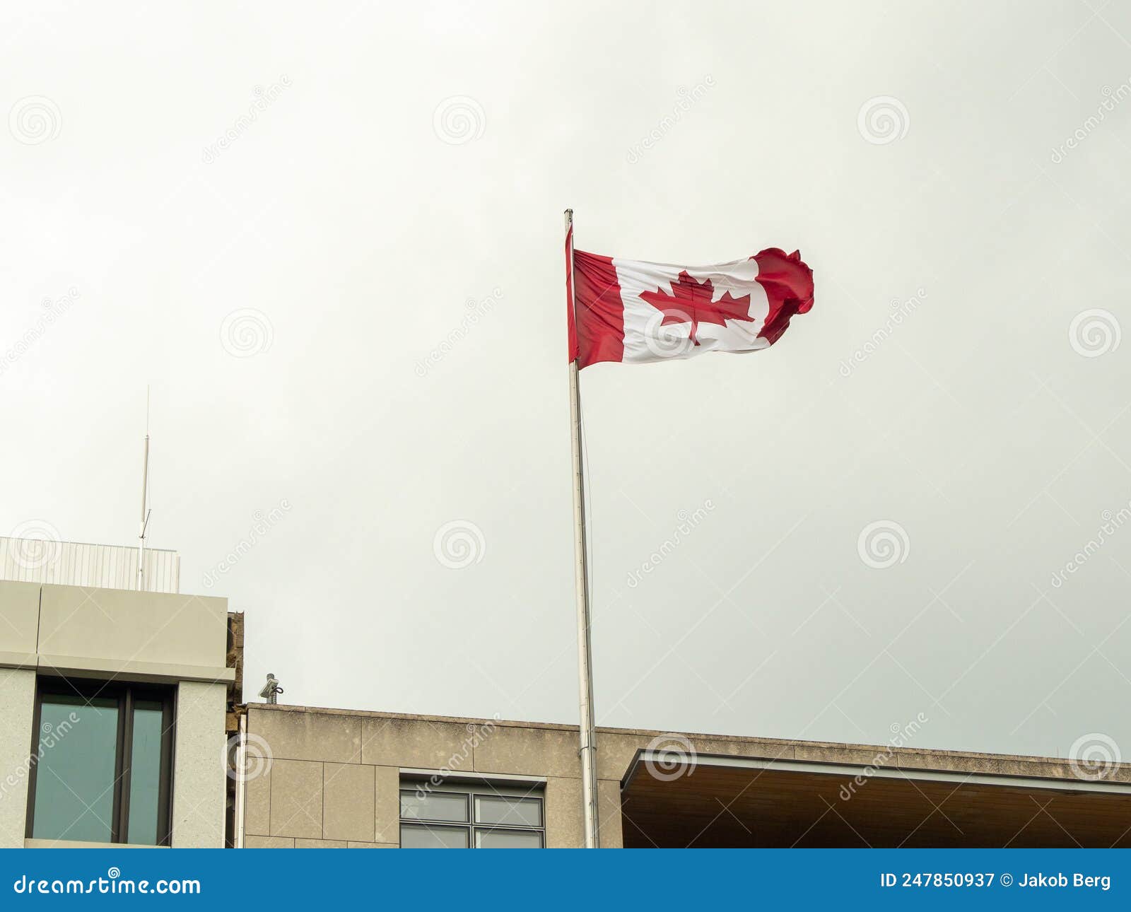 Canada Flag on the Building. Flag of Canada. Stock Image - Image of ...