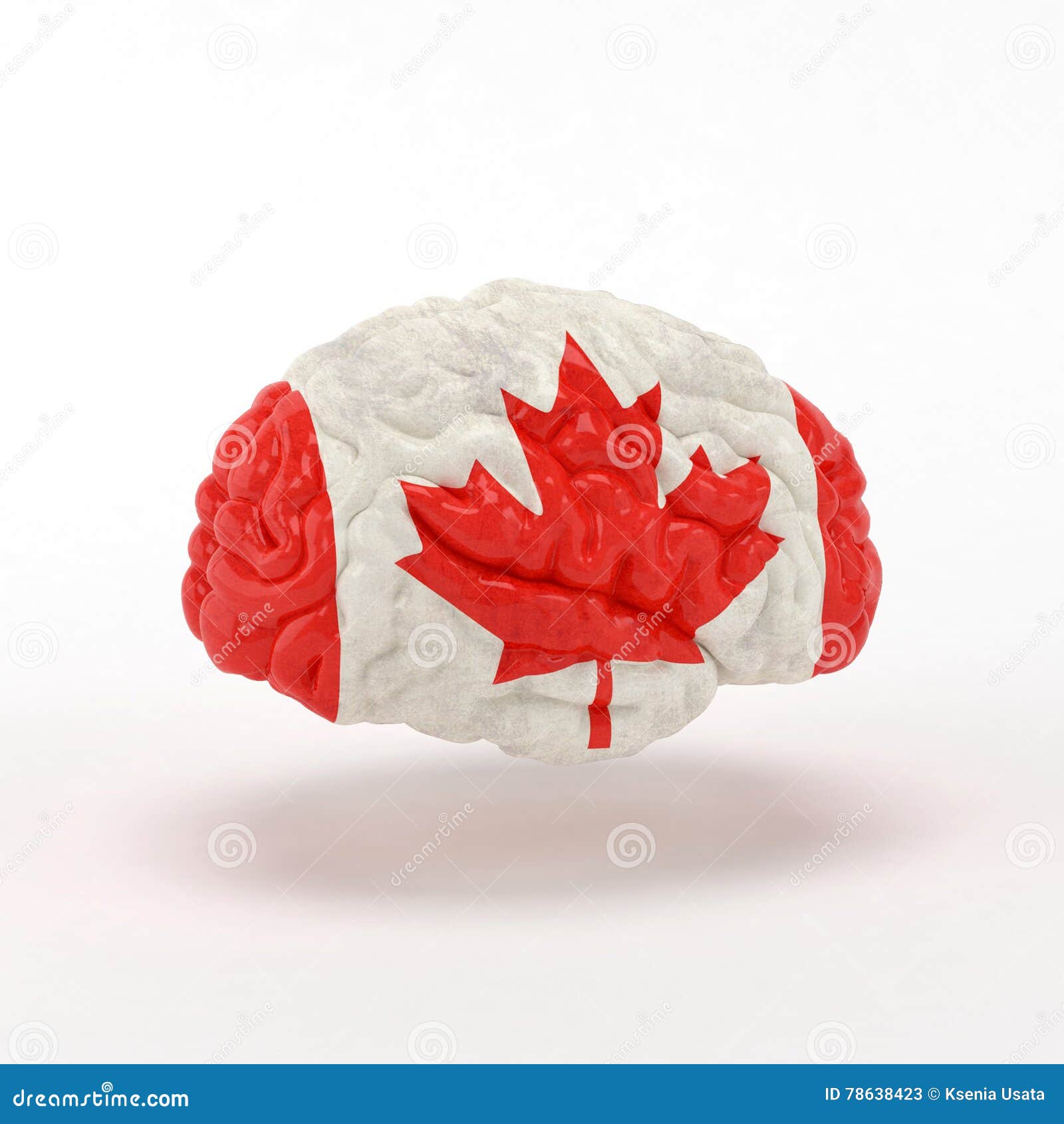 Canada Flag on Human Brain. Stock Illustration - Illustration of ...