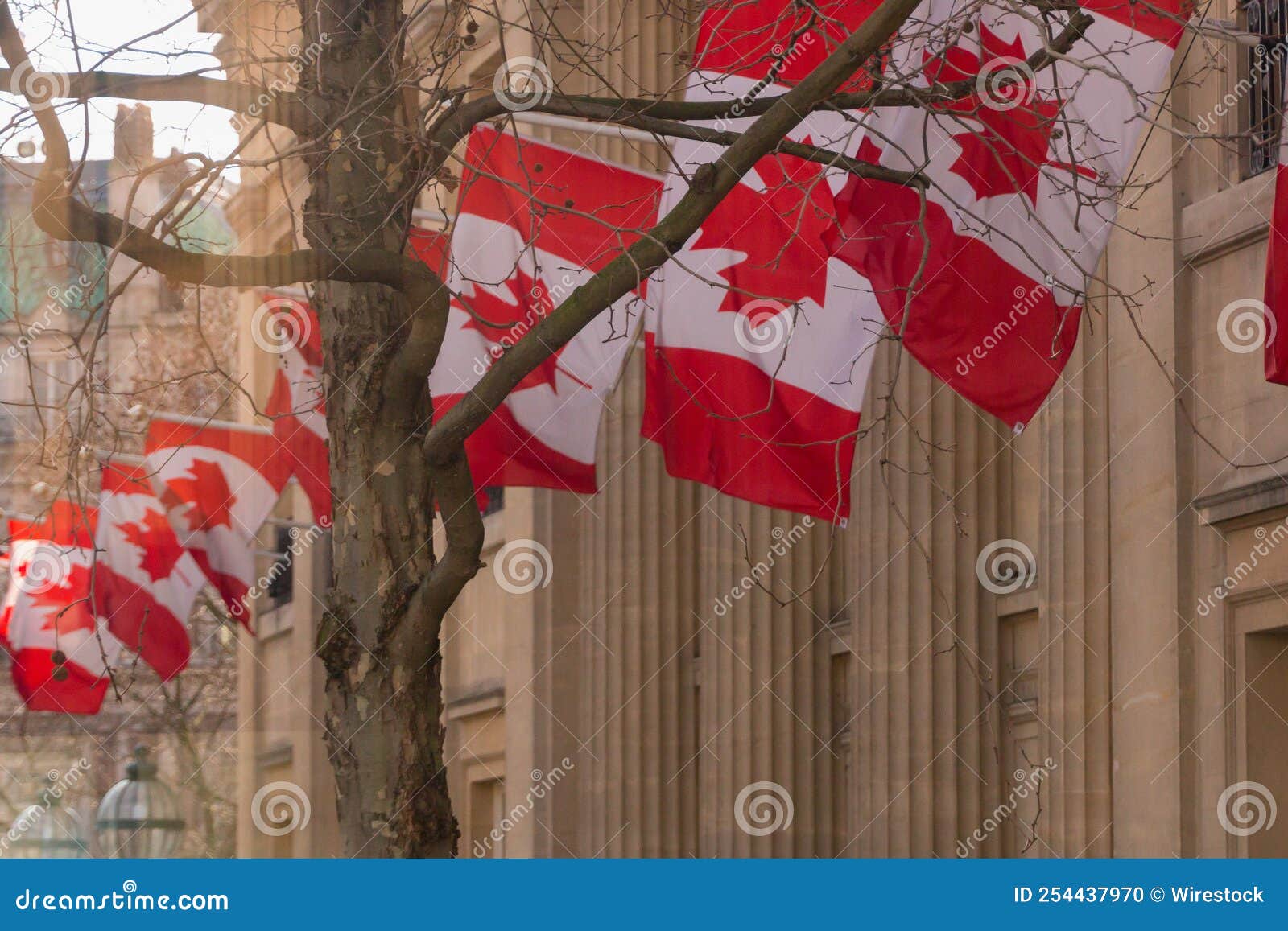 Canada Flags, One after Another Hanging from the Building S Walls Stock ...