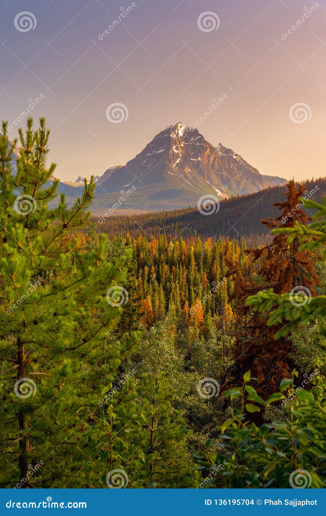 Canada Forest Landscape With Big Mountain In The Background And The ...