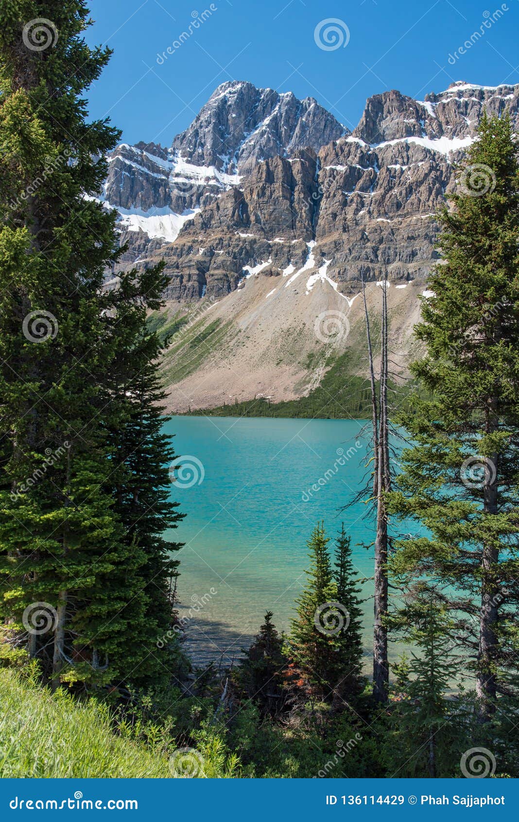 Canada Forest Landscape With Big Mountain In The Background And The ...