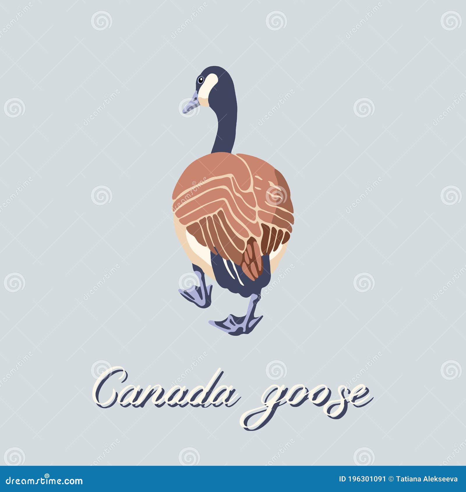 Goose Back Pattern Seamless. Duck Dives Into Water Background. Birth ...