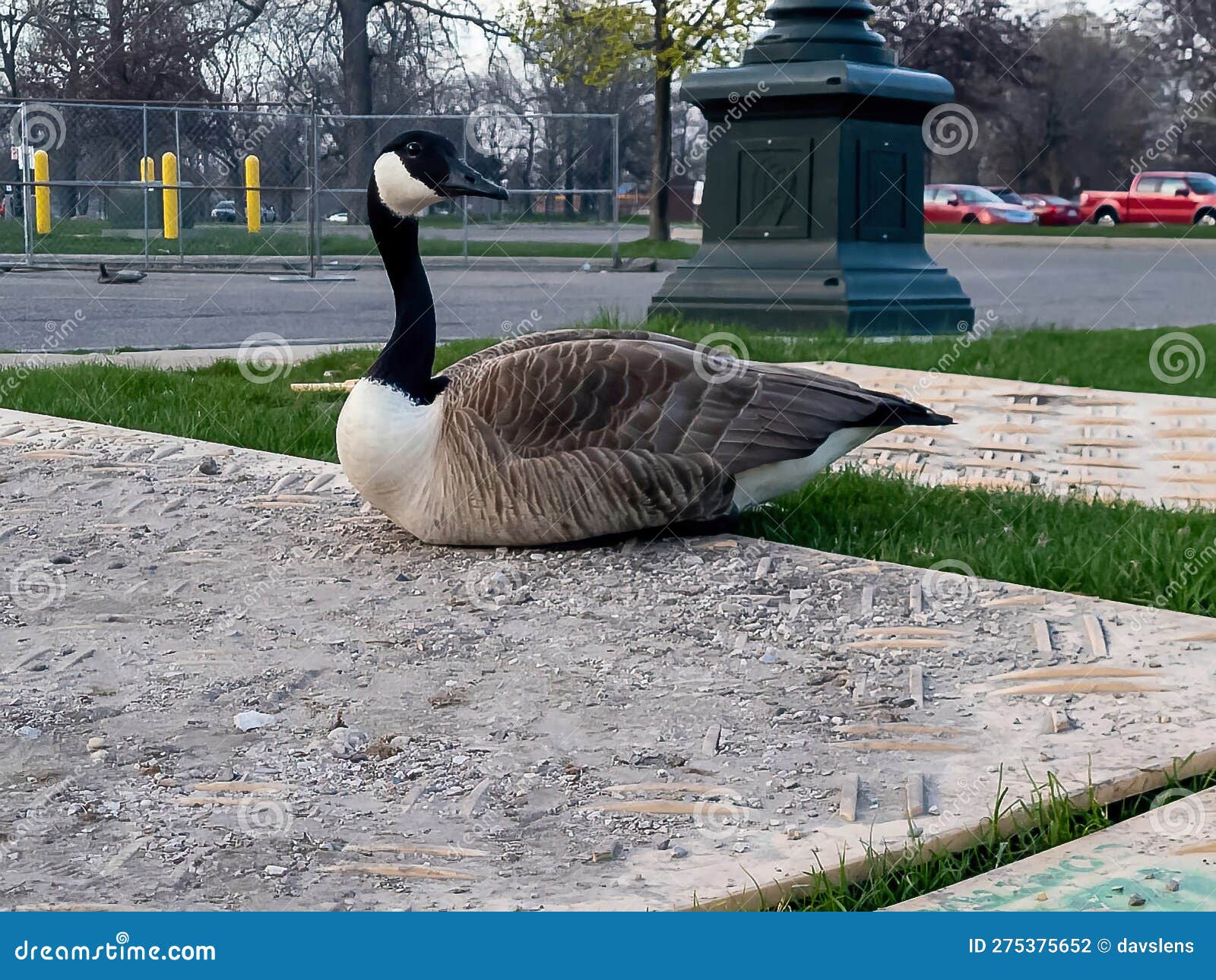 Construction Of A New Panel High-rise Building. Modular House Fast ...