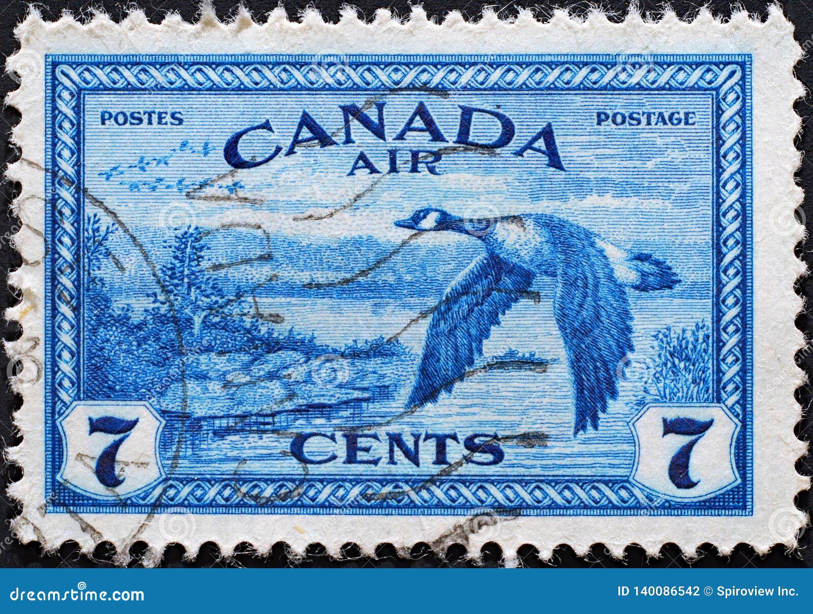 Canada goose in flight editorial photography. Image of 1940s - 140086542