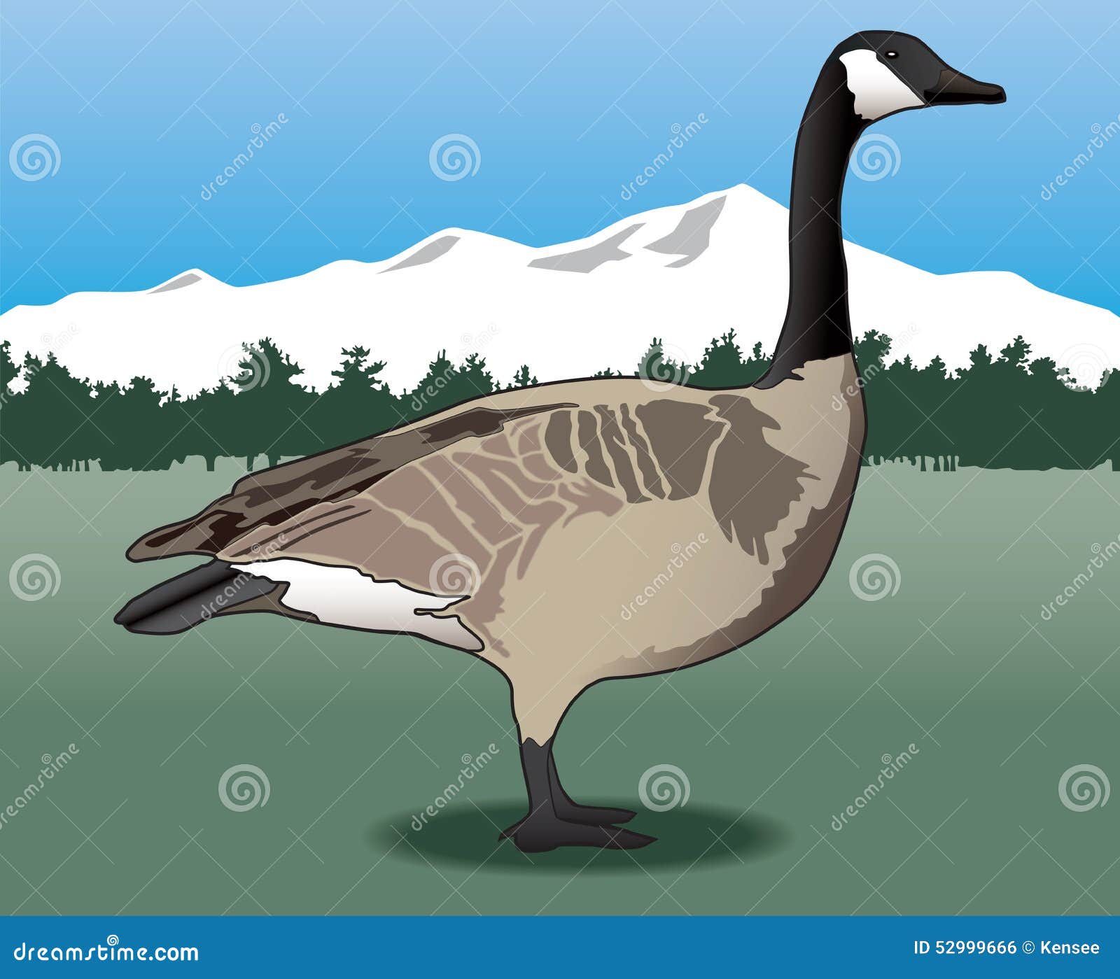 Canada Goose And Mission Style Background Vector Illustration ...