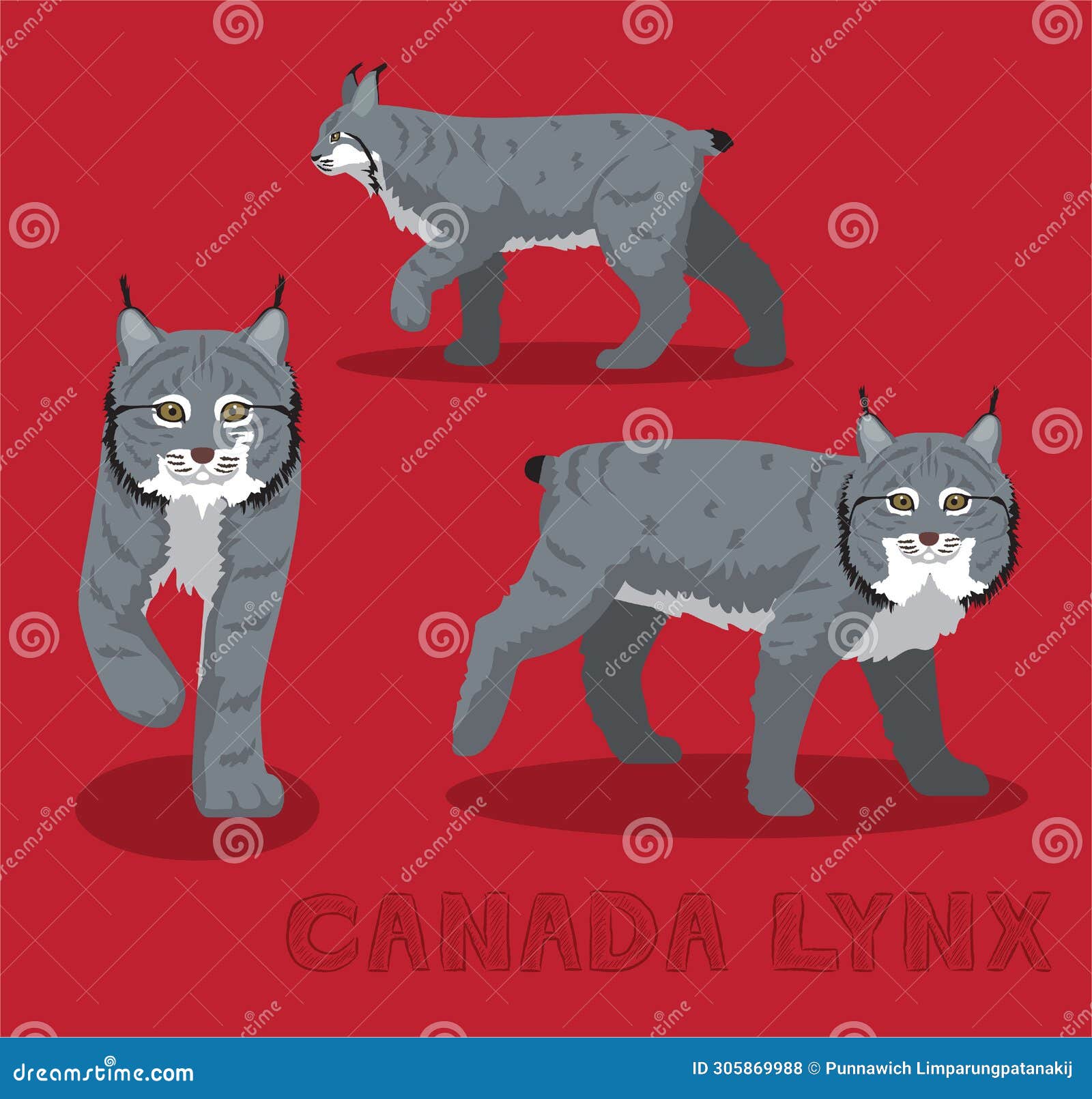 Canada Lynx Cat Cartoon Vector Illustration Stock Illustration ...