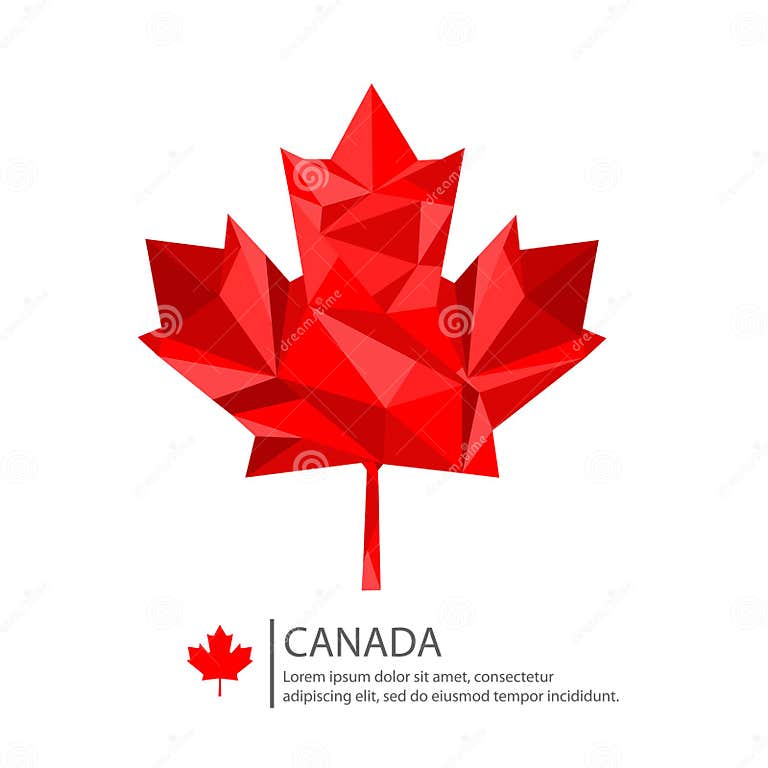 Canada Maple Leaf Design stock vector. Illustration of leaf - 83961501