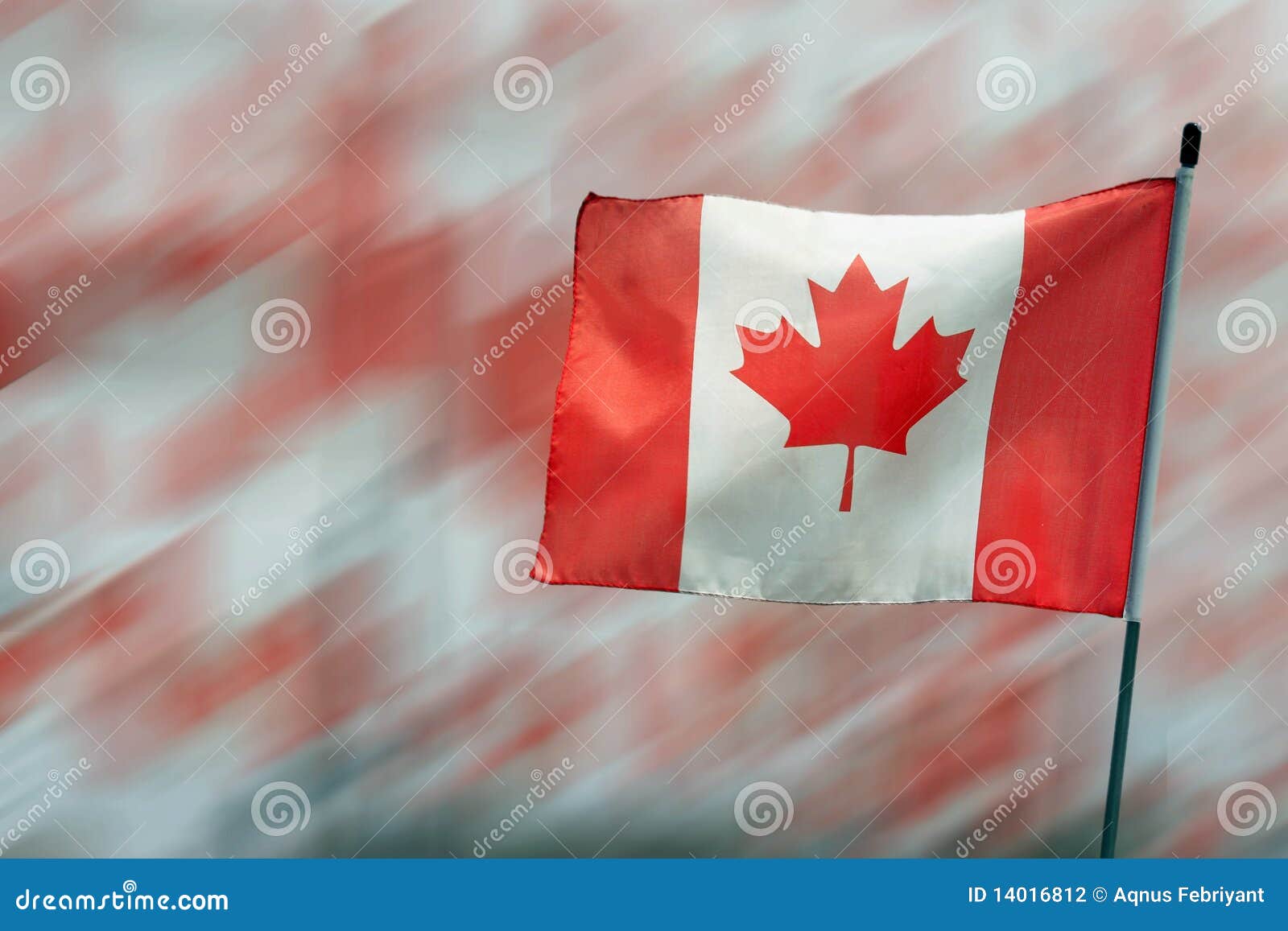 Canada Maple Leaf Flag stock photo. Image of patriot - 14016812