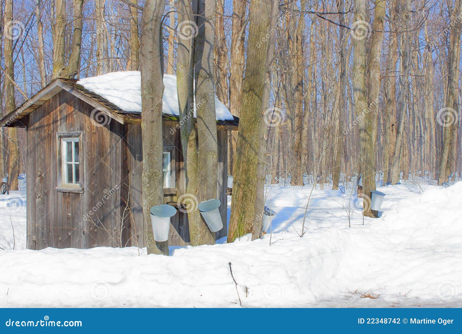 Canada sugar shack stock photo. Image of sugar, snowy - 22348742