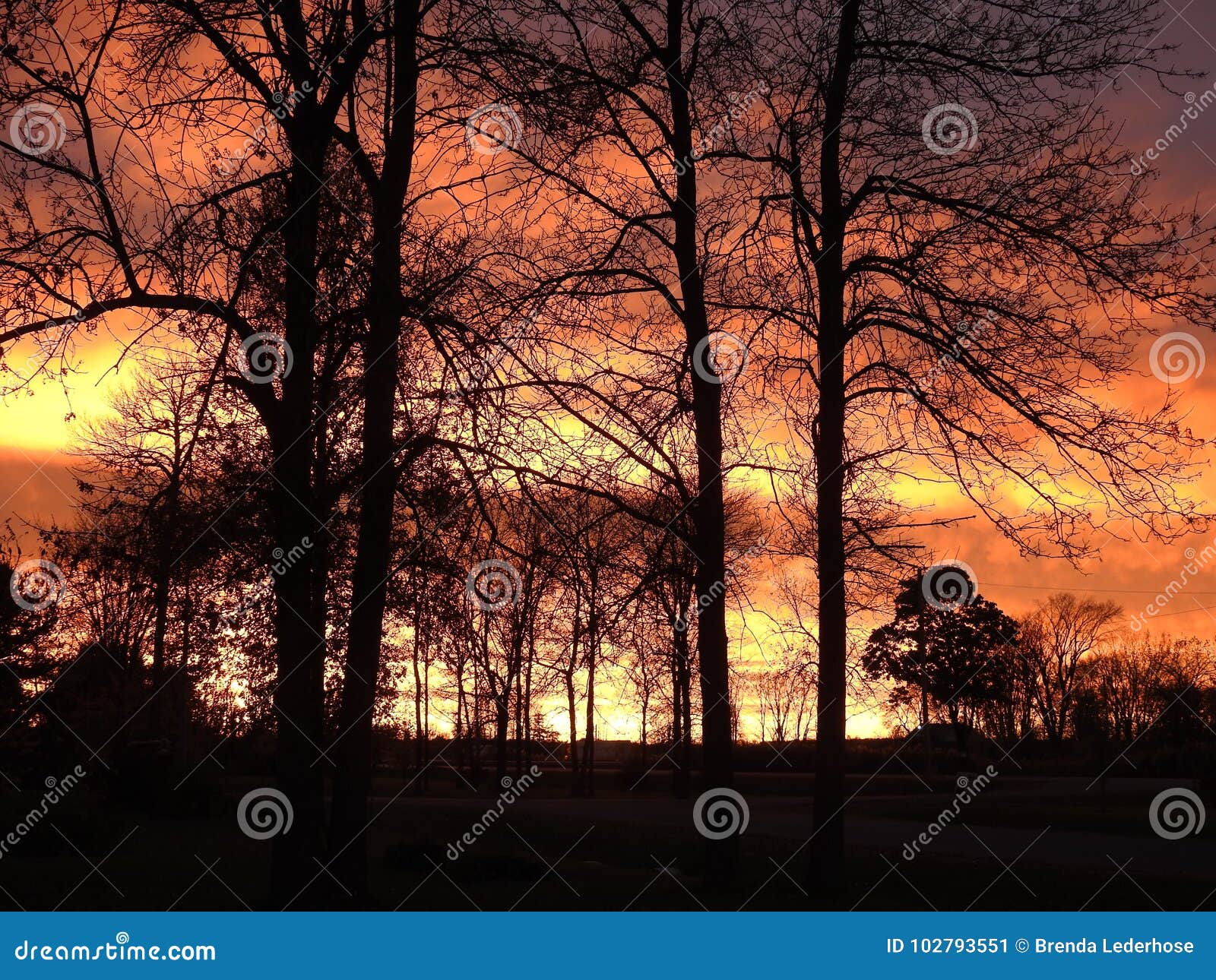 Canada sunset stock image. Image of trees, sunset, backyard - 102793551